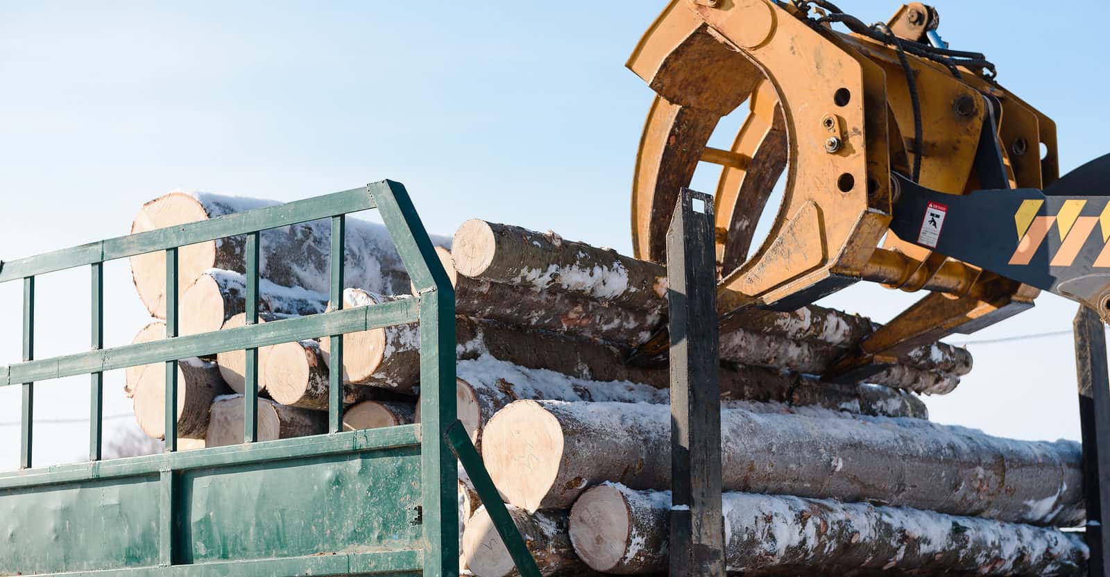 Logging Continues to Be Most Dangerous Job In America